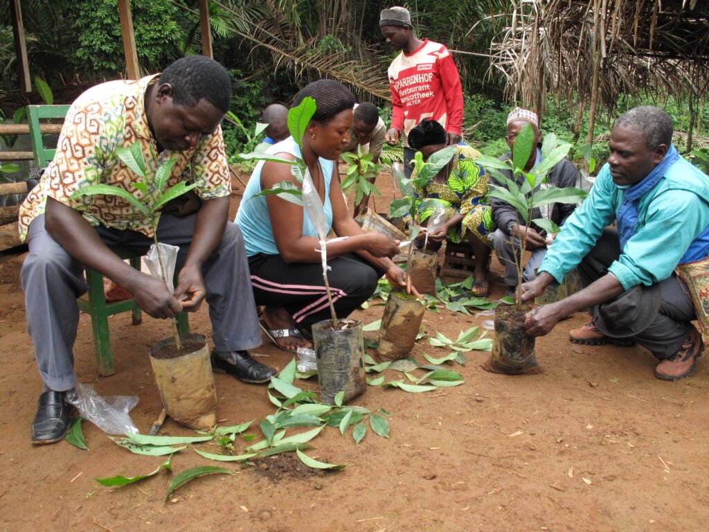 A-training-session-at-a-rural-resource-centre – CBS FM