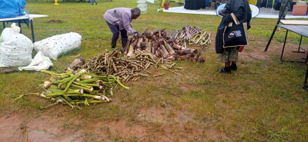 Cbs Pewosa Nsindikanjake trade fair 2023 etandise – CBS FM